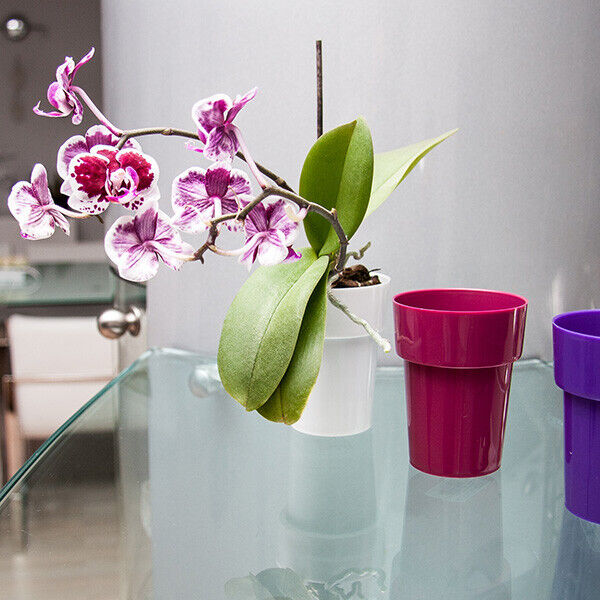 Micro mini Plant Pot Cactus Orchid Plastic 11 Colours Gloss 6cm Modern ...