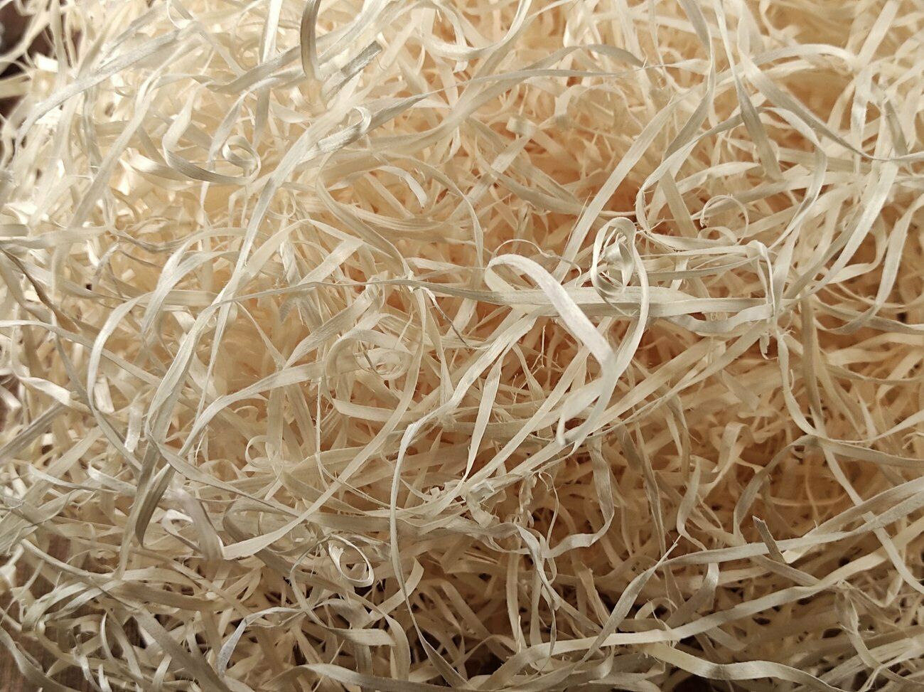 Wood wool - Jumping Bugzy